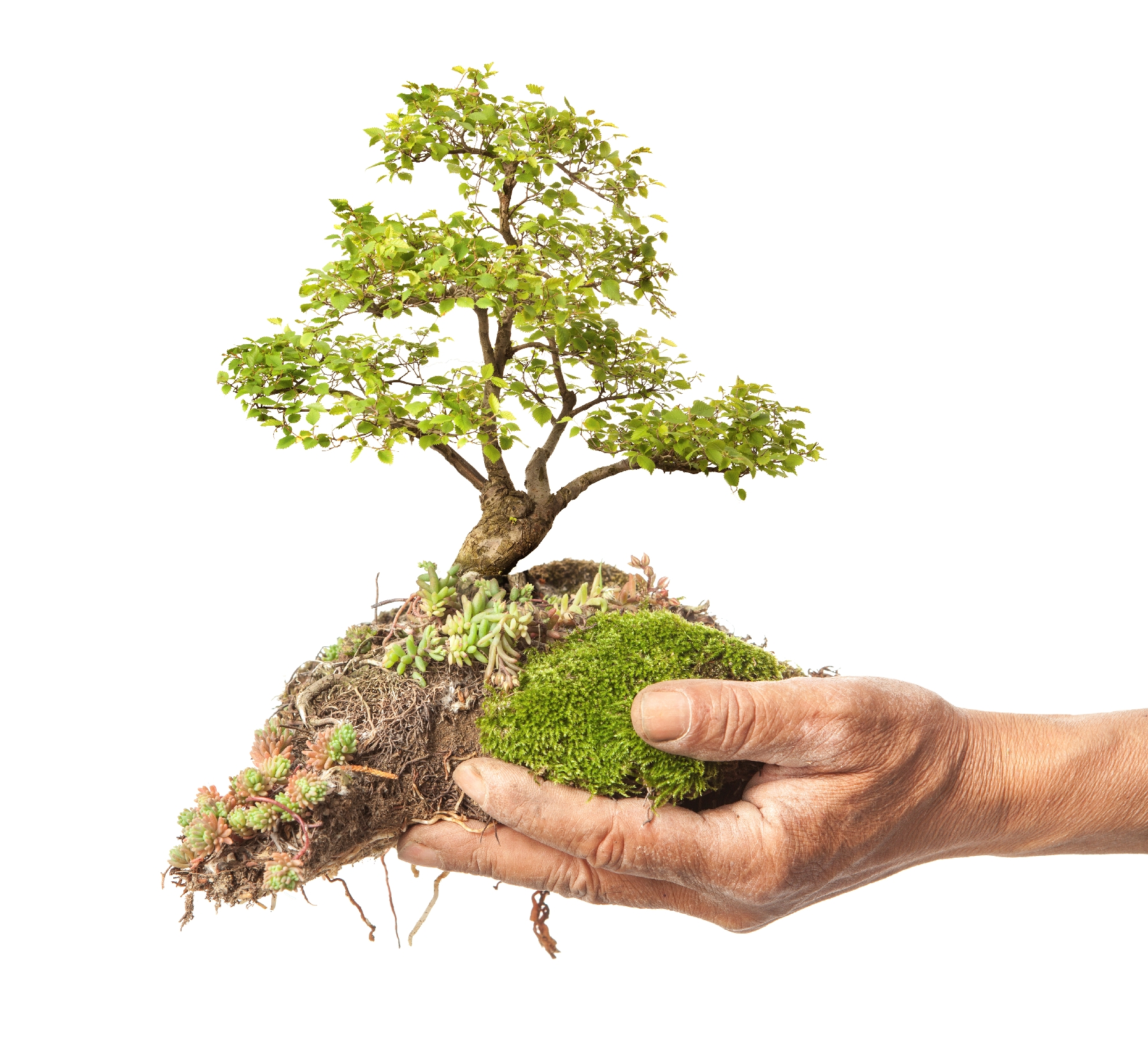 Build a Strong Business Relationship – Lohman Company